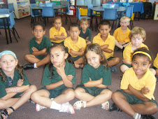 Room 3 Onehunga Primary School: Back to school!